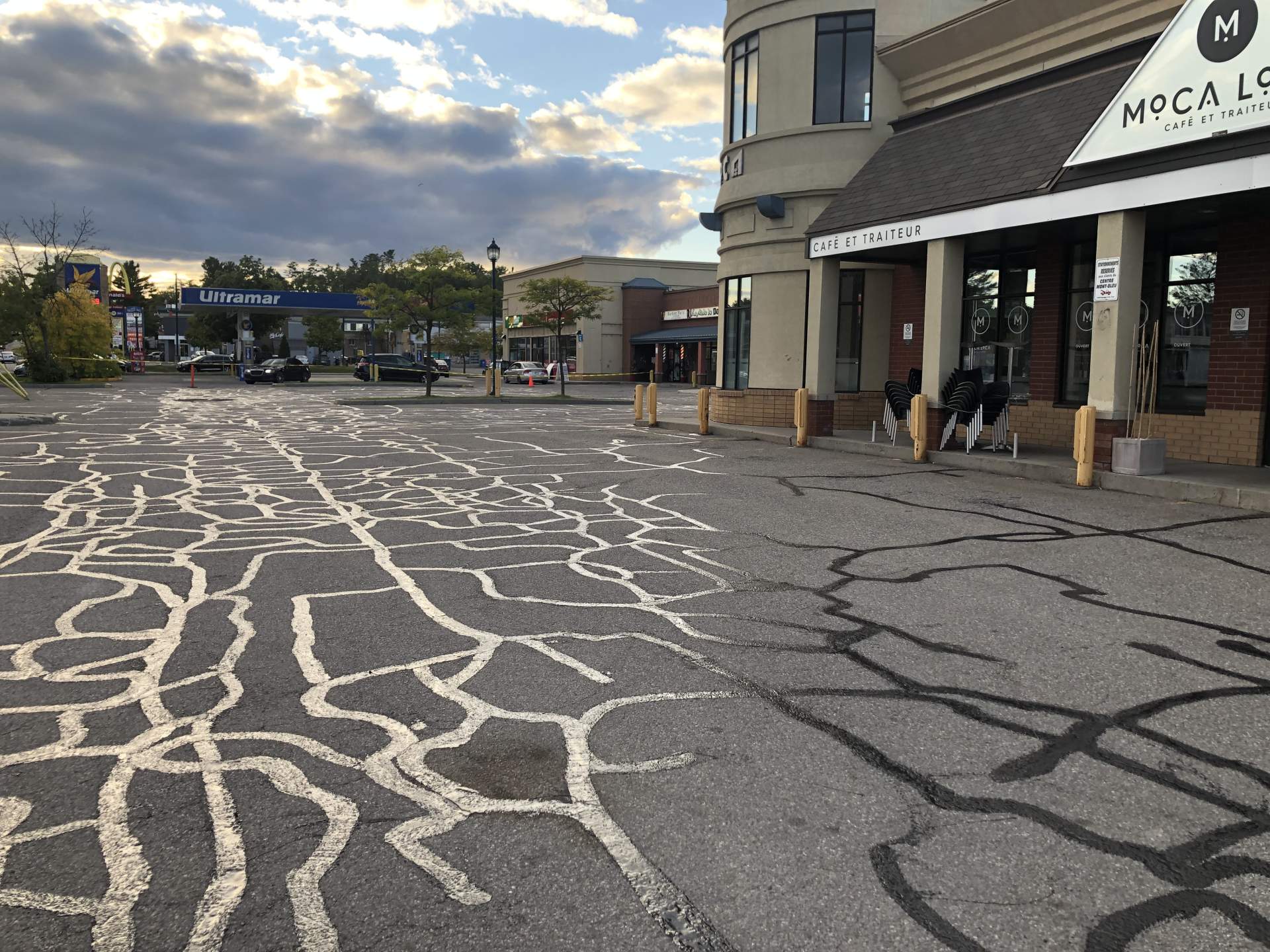 Pavé en asphalte abîmé : l’importance du scellement rapide des fissures ...
